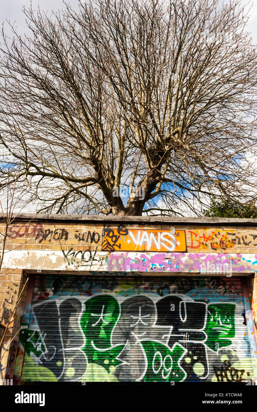 Leafless tree with graffiti building in foreground Stock Photo - Alamy