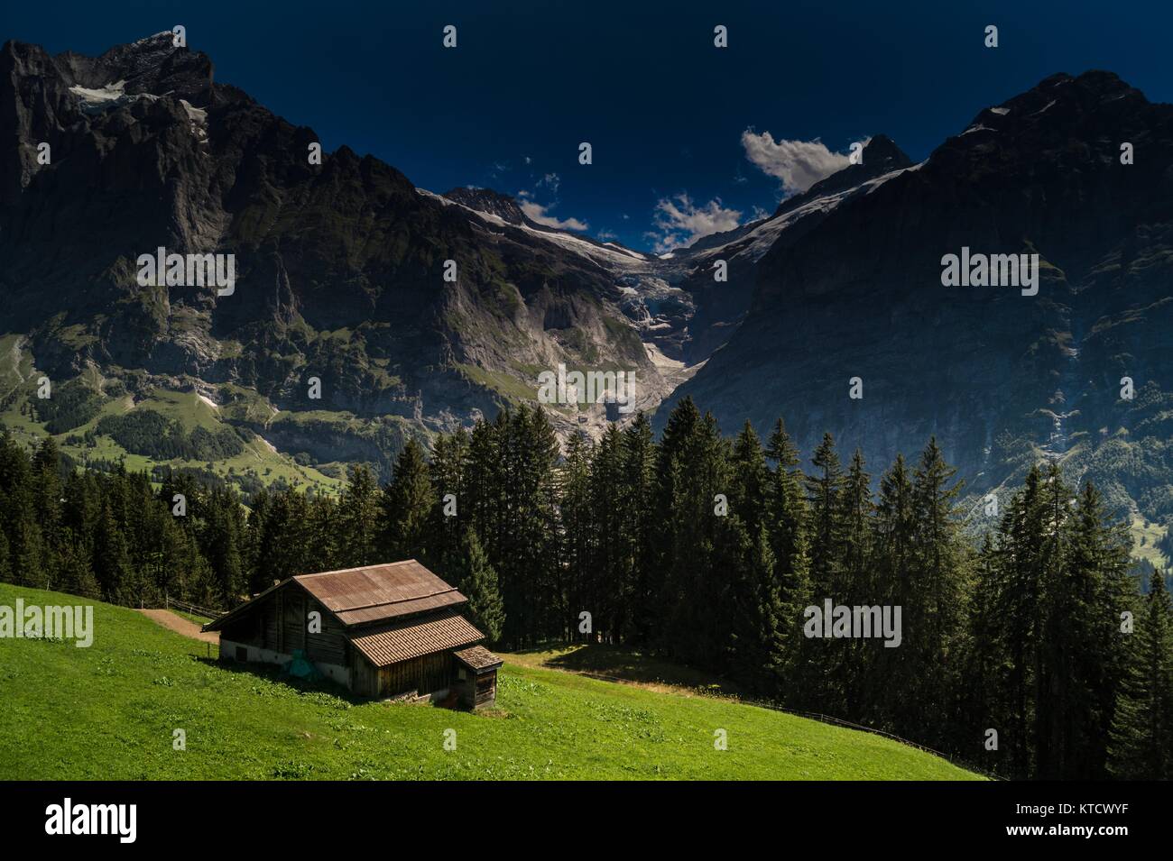 Grindelwald be Stock Vector Images - Alamy