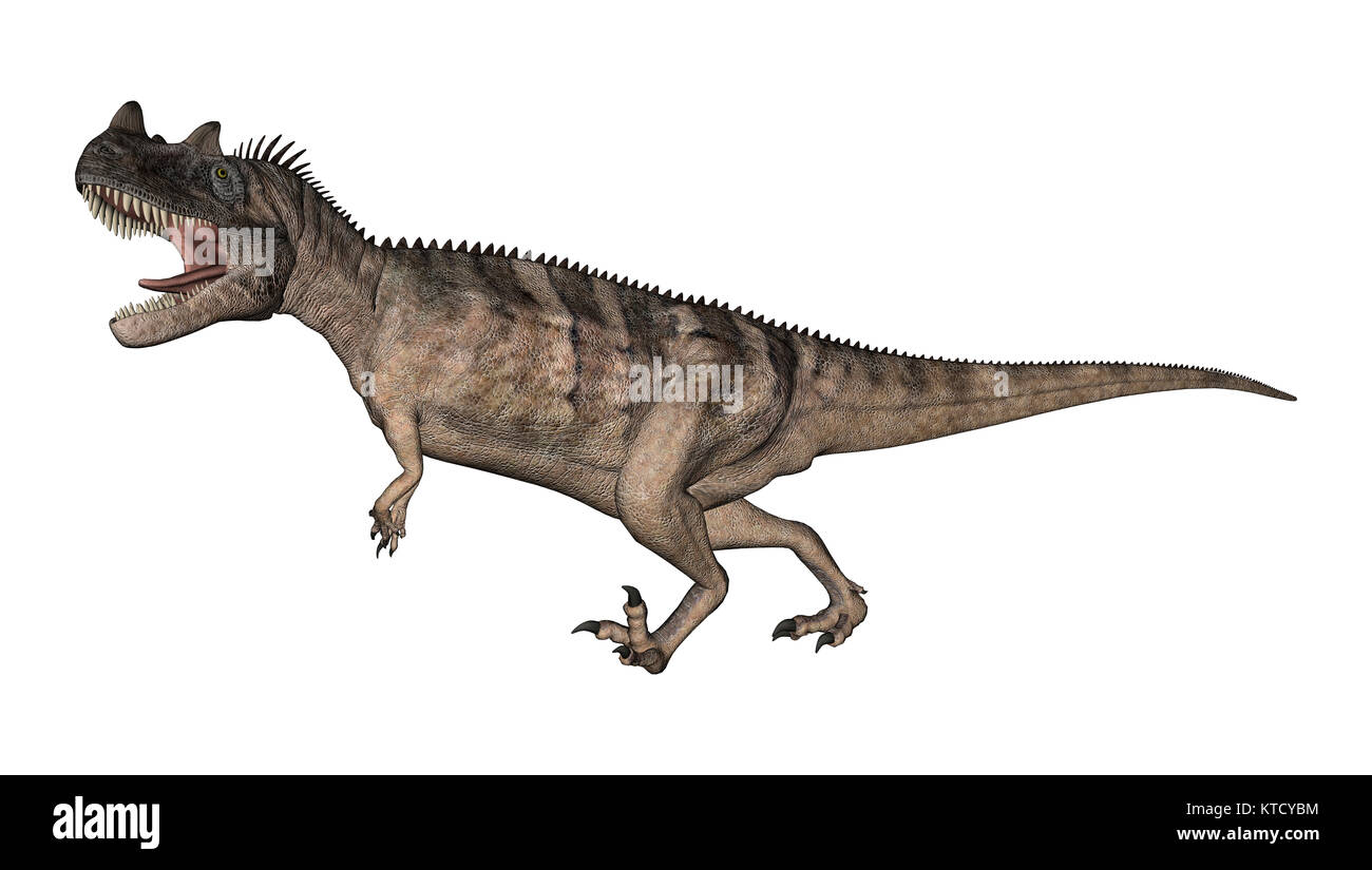 3D Rendering Dinosaur Ceratosaurus on White Stock Photo - Alamy