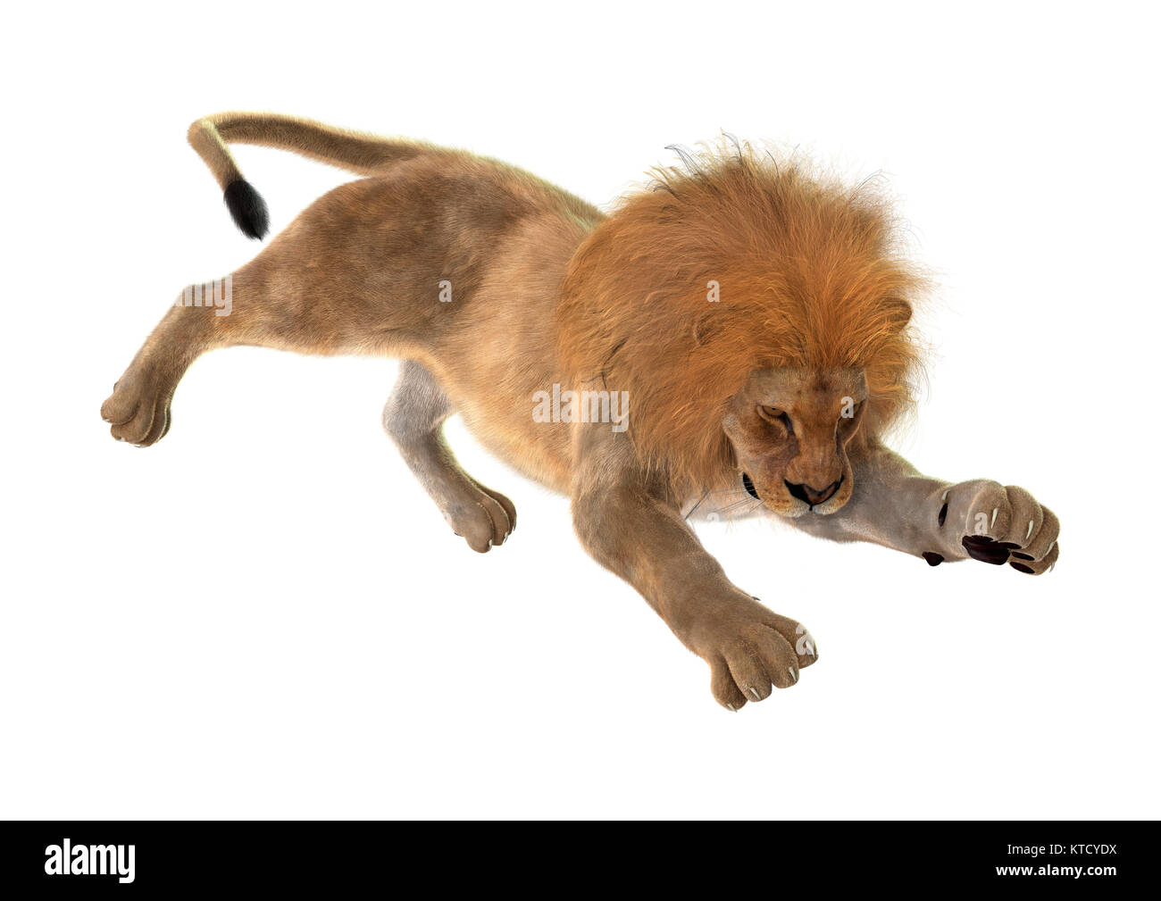 Jumping of the lion hi-res stock photography and images - Alamy