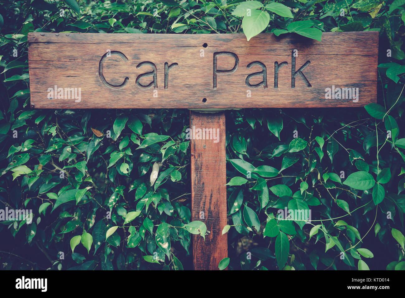 Car label hi-res stock photography and images - Alamy