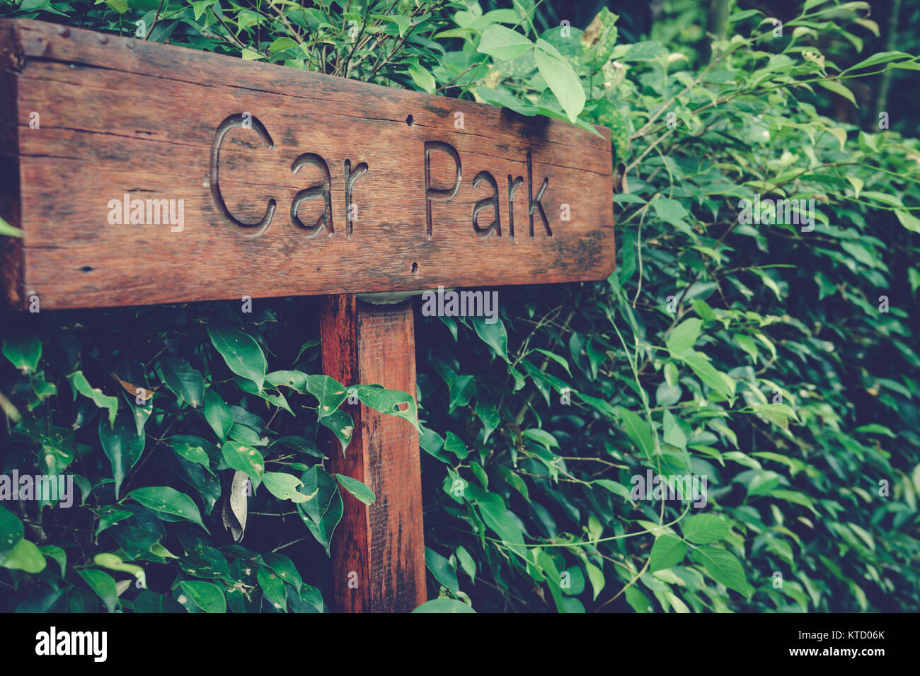 Label wooden car park Stock Photo - Alamy