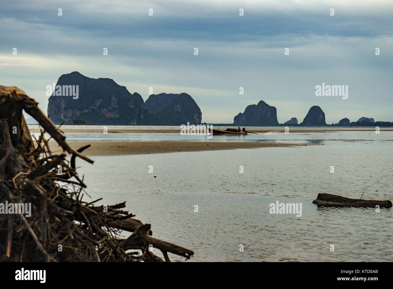 The stump on the sandstone Stock Photo - Alamy