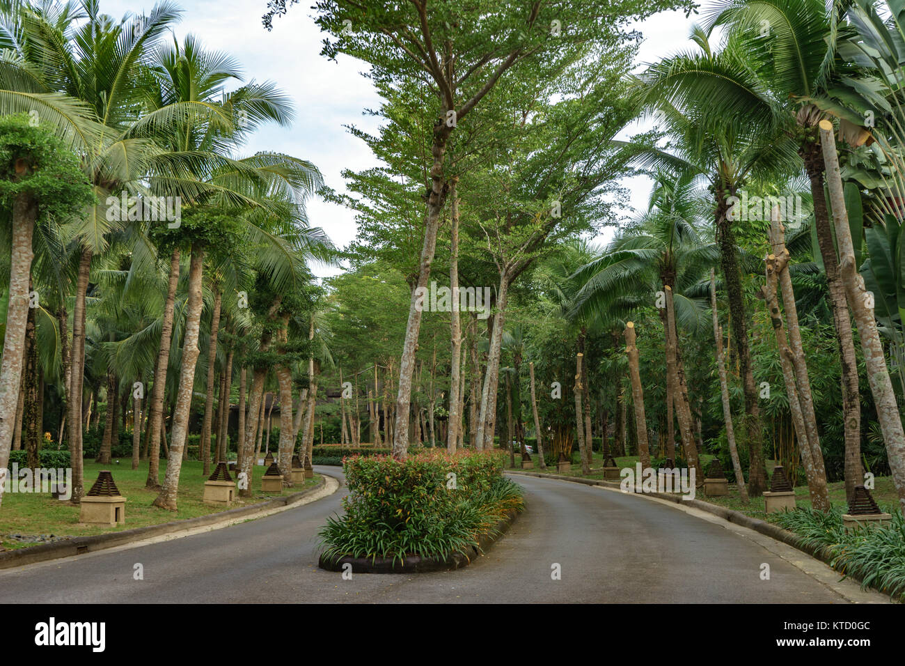 Road in the garden Stock Photo - Alamy
