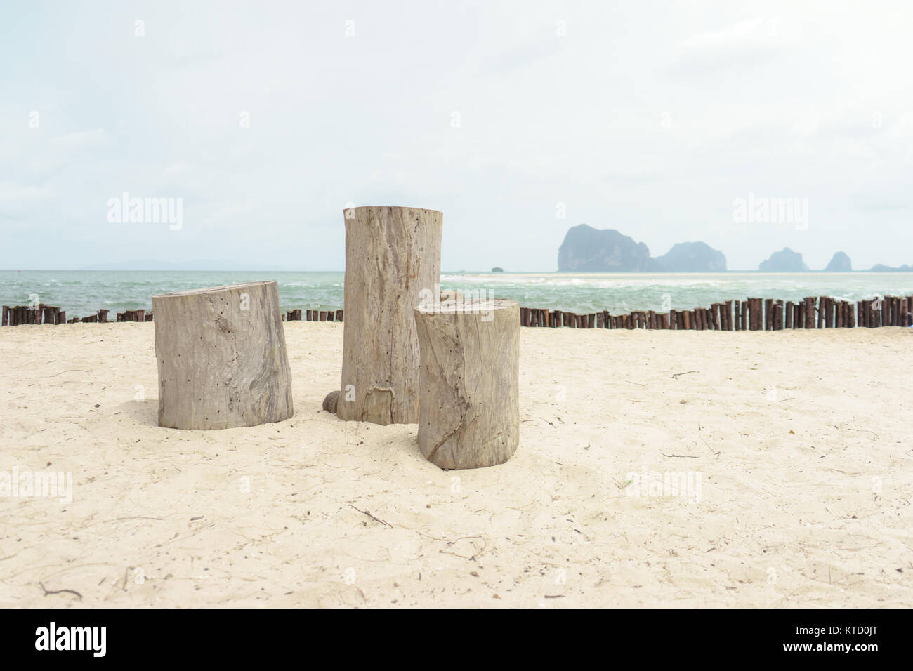 The stump on the sandstone Stock Photo - Alamy