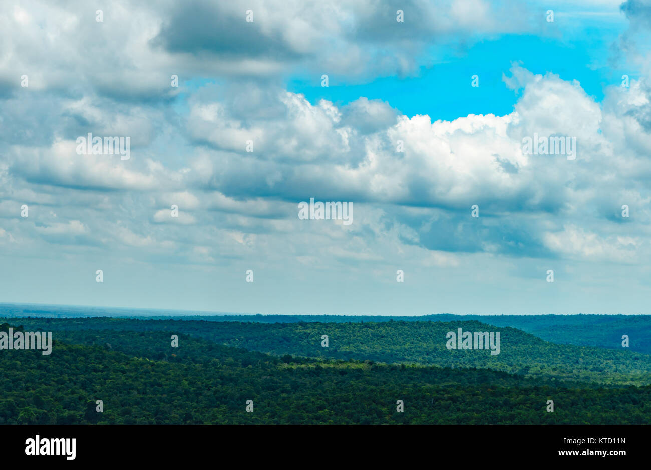 Tree forest Landscape on blue sky background Stock Photo - Alamy