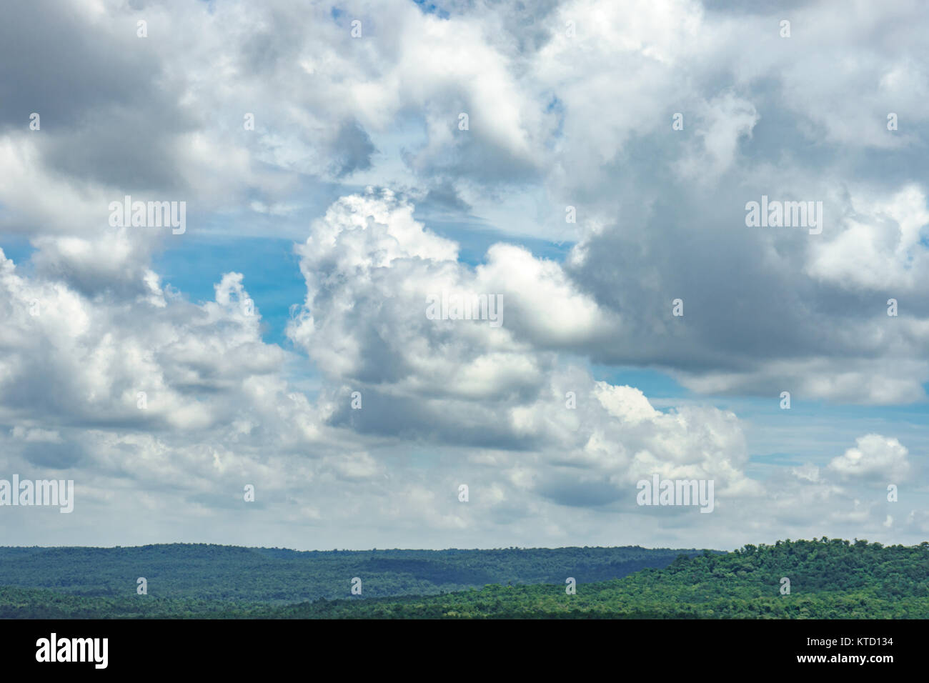 Tree forest Landscape on blue sky background Stock Photo - Alamy