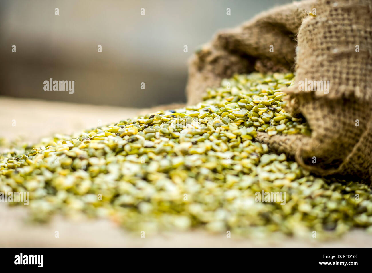 Split Green gram,Moong dal,Vigna radiata coming out from a gunny bag ...