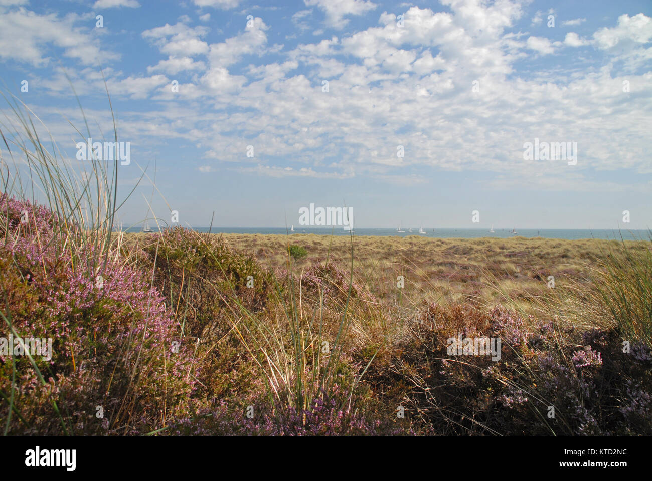 Heather sand hi-res stock photography and images - Alamy