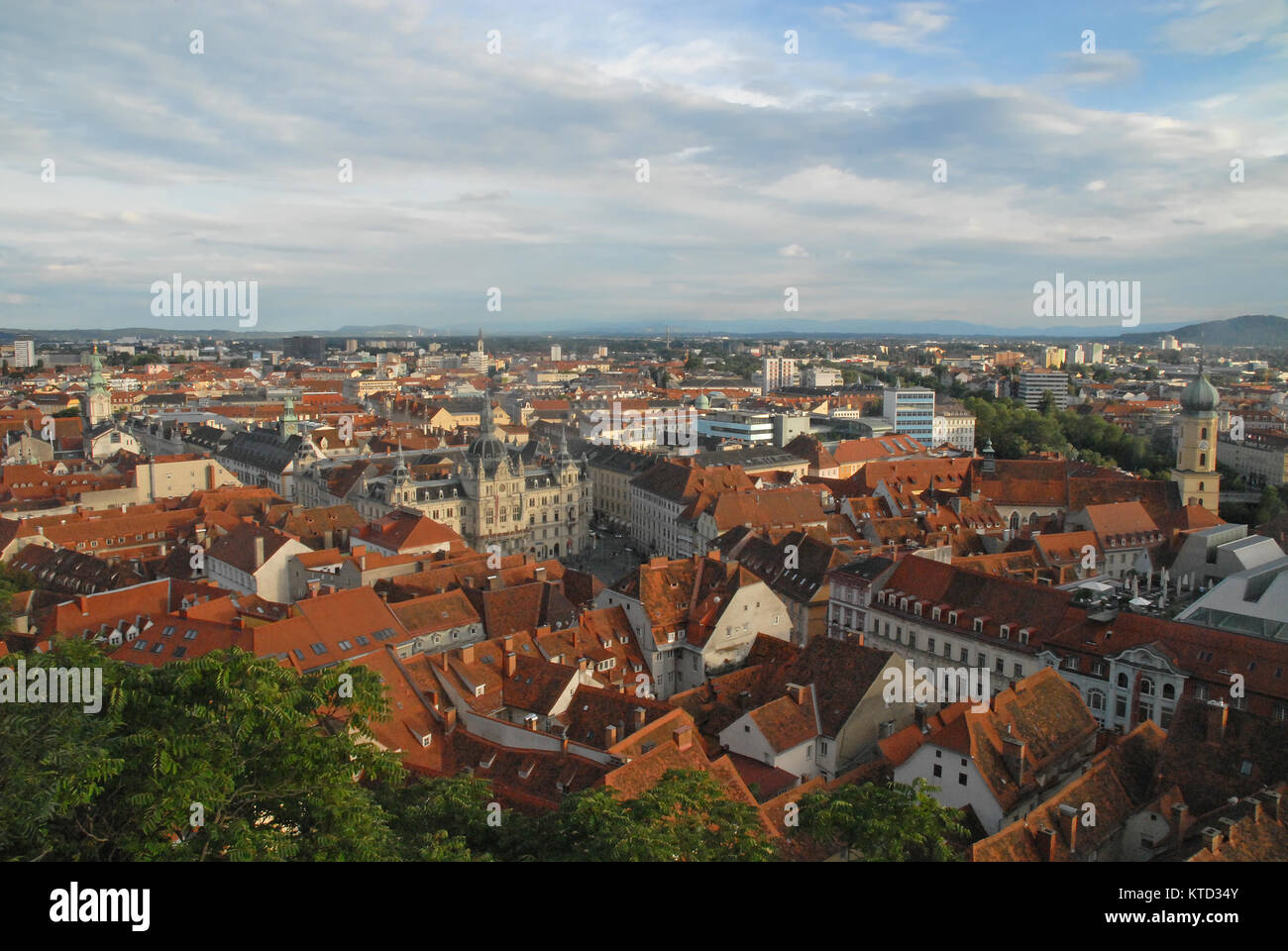 Town hall rathaus trees hi-res stock photography and images - Alamy