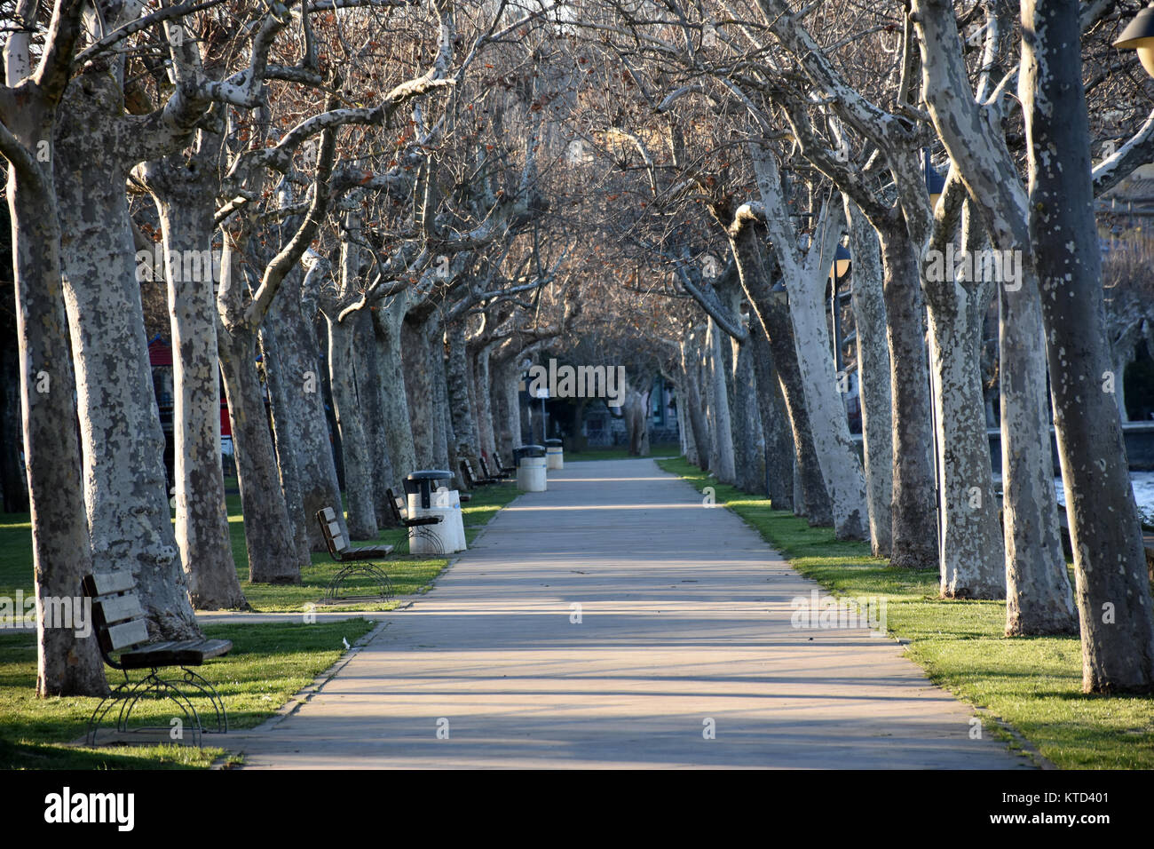 view of pedestrian street with trees on the sides Stock Photo - Alamy