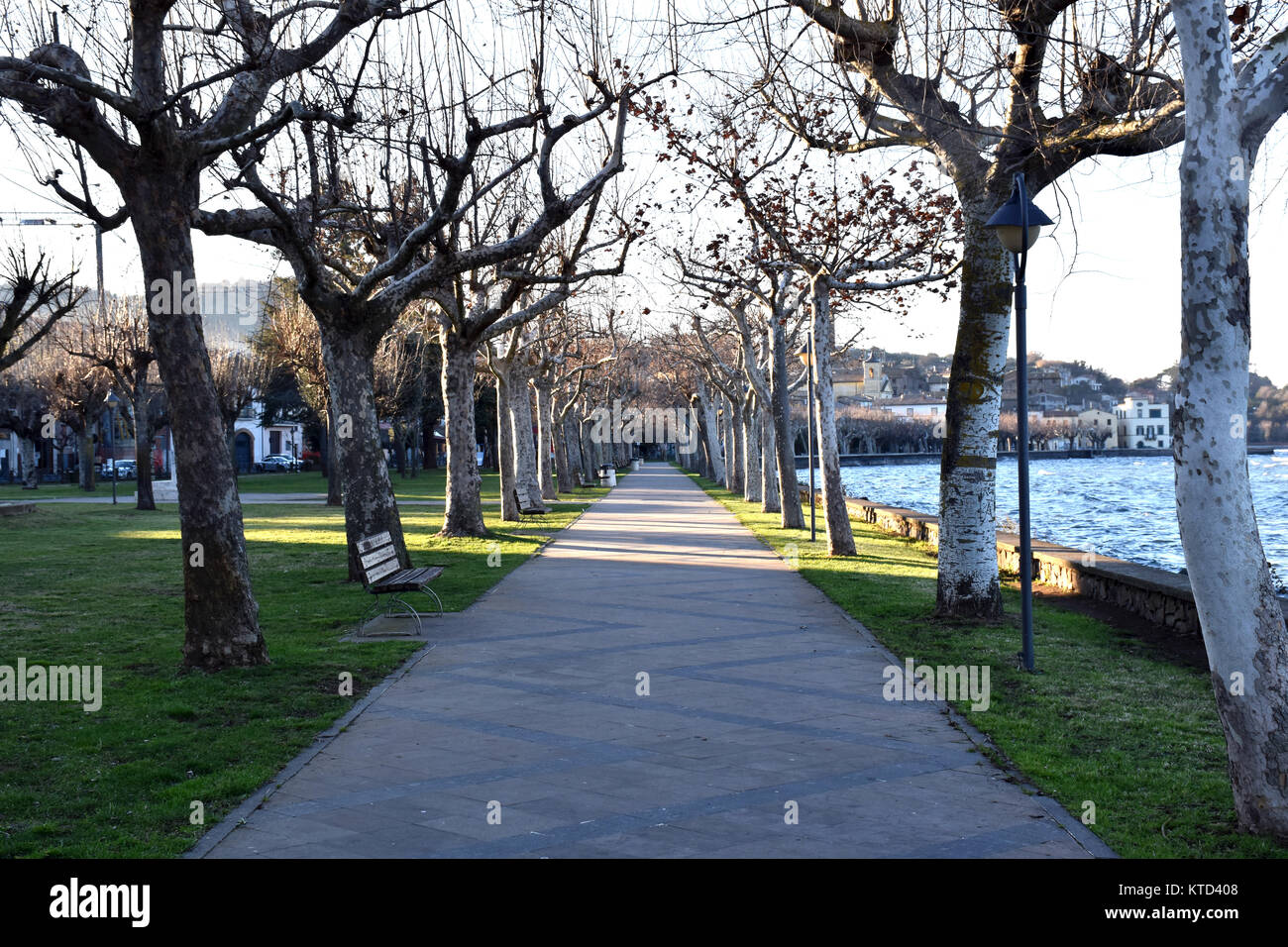 view of pedestrian street with trees on the sides Stock Photo - Alamy