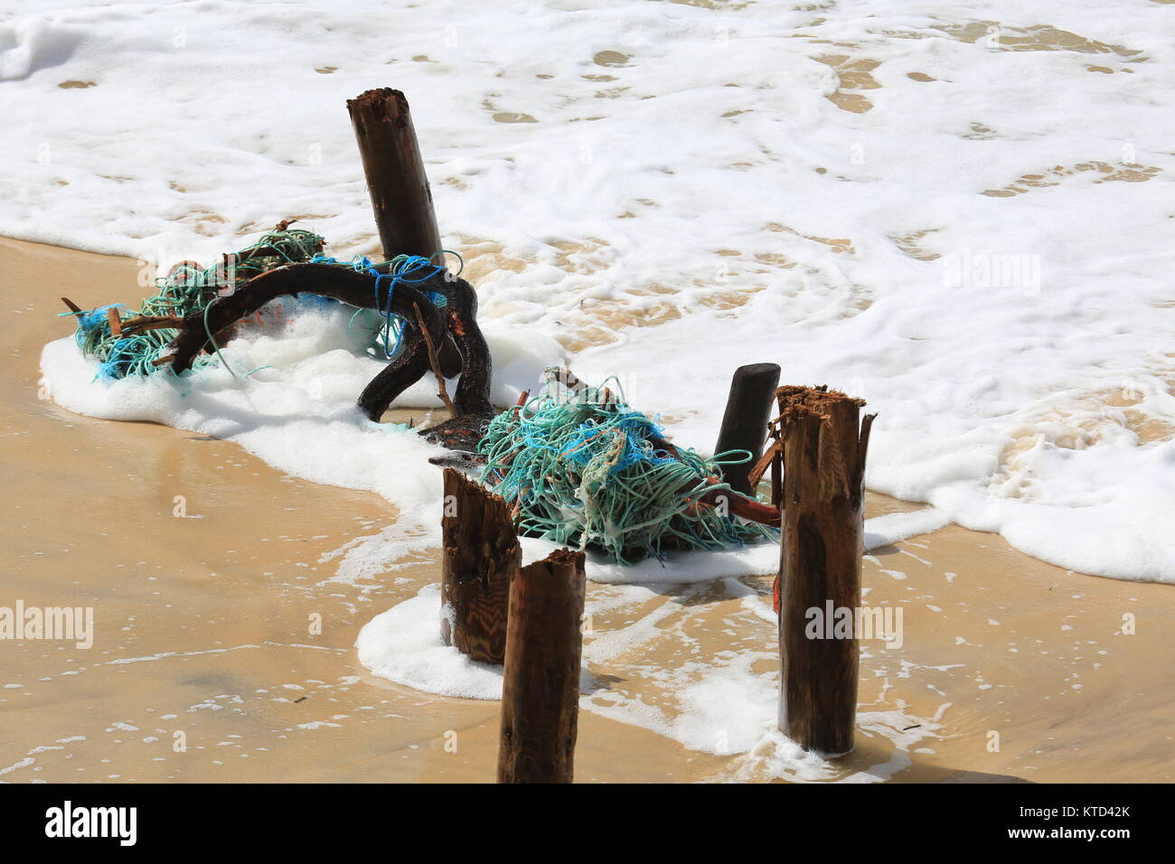 Remains of plastic fishing rope left on beach endangering sea life in ...