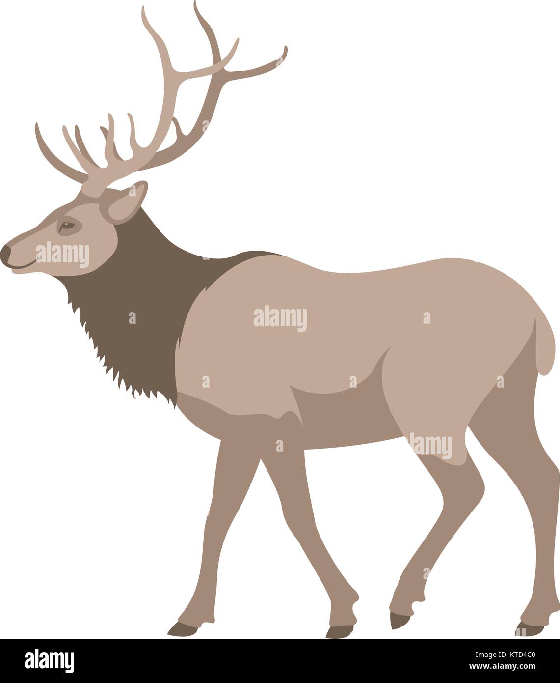 Reindeer side profile hi-res stock photography and images - Alamy