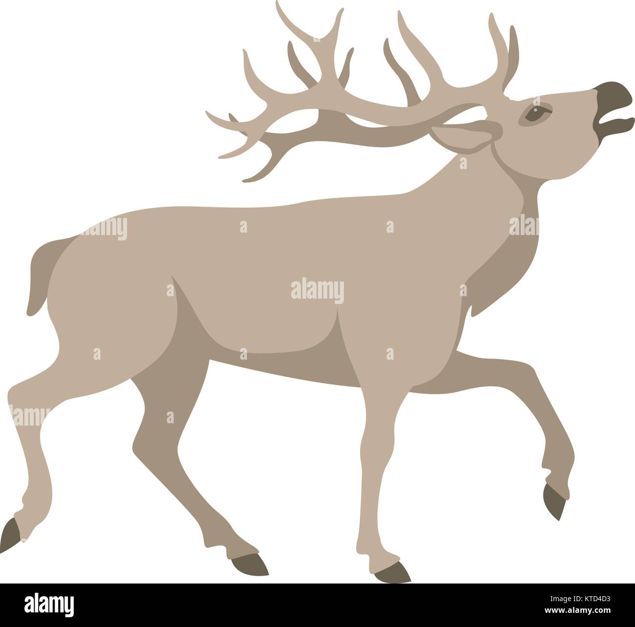 Reindeer side profile hi-res stock photography and images - Alamy