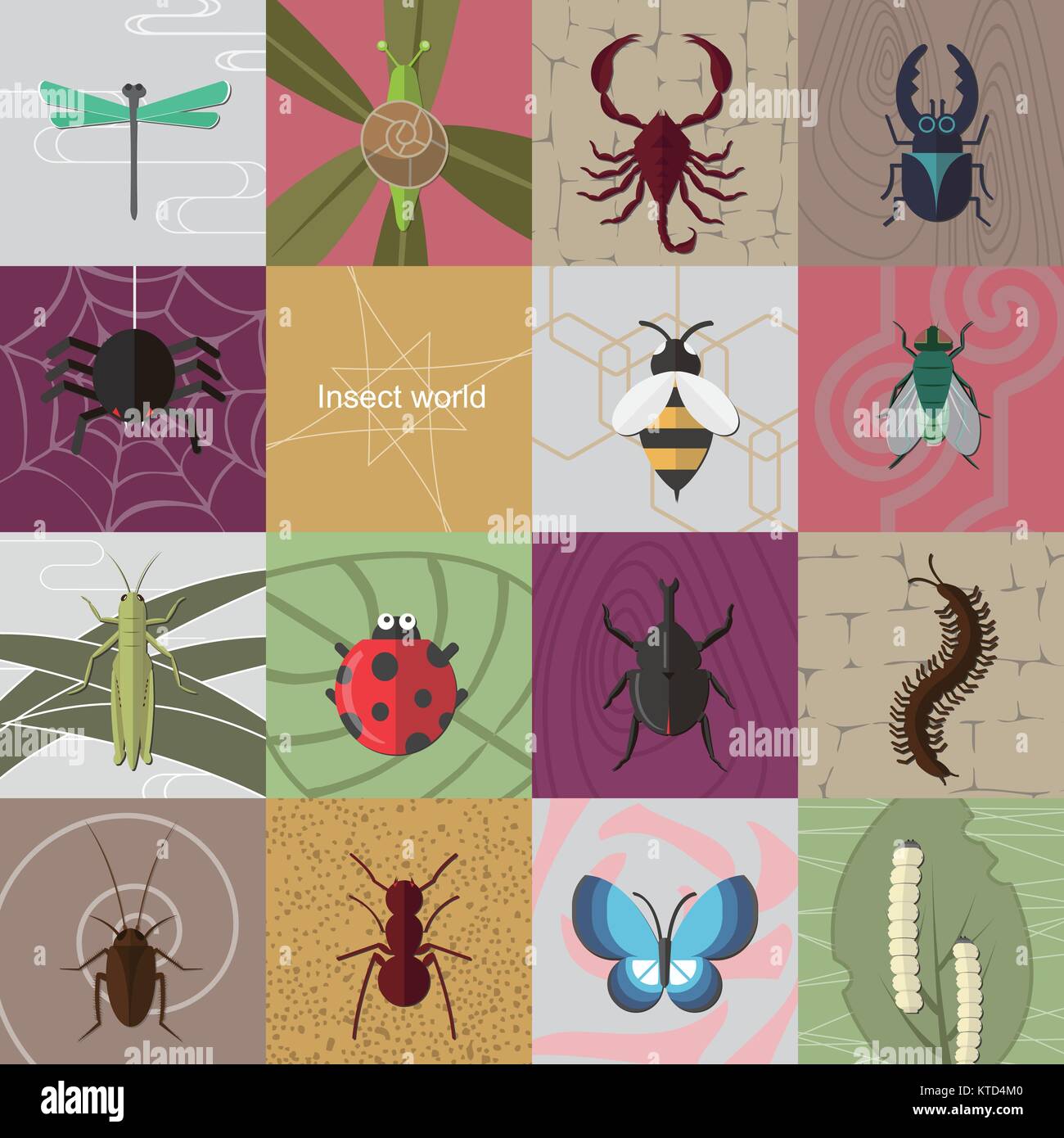 Insect Collection Butterfly Snail Spider Ant Scorpion And Beetle Bug Stock Vector Image And Art