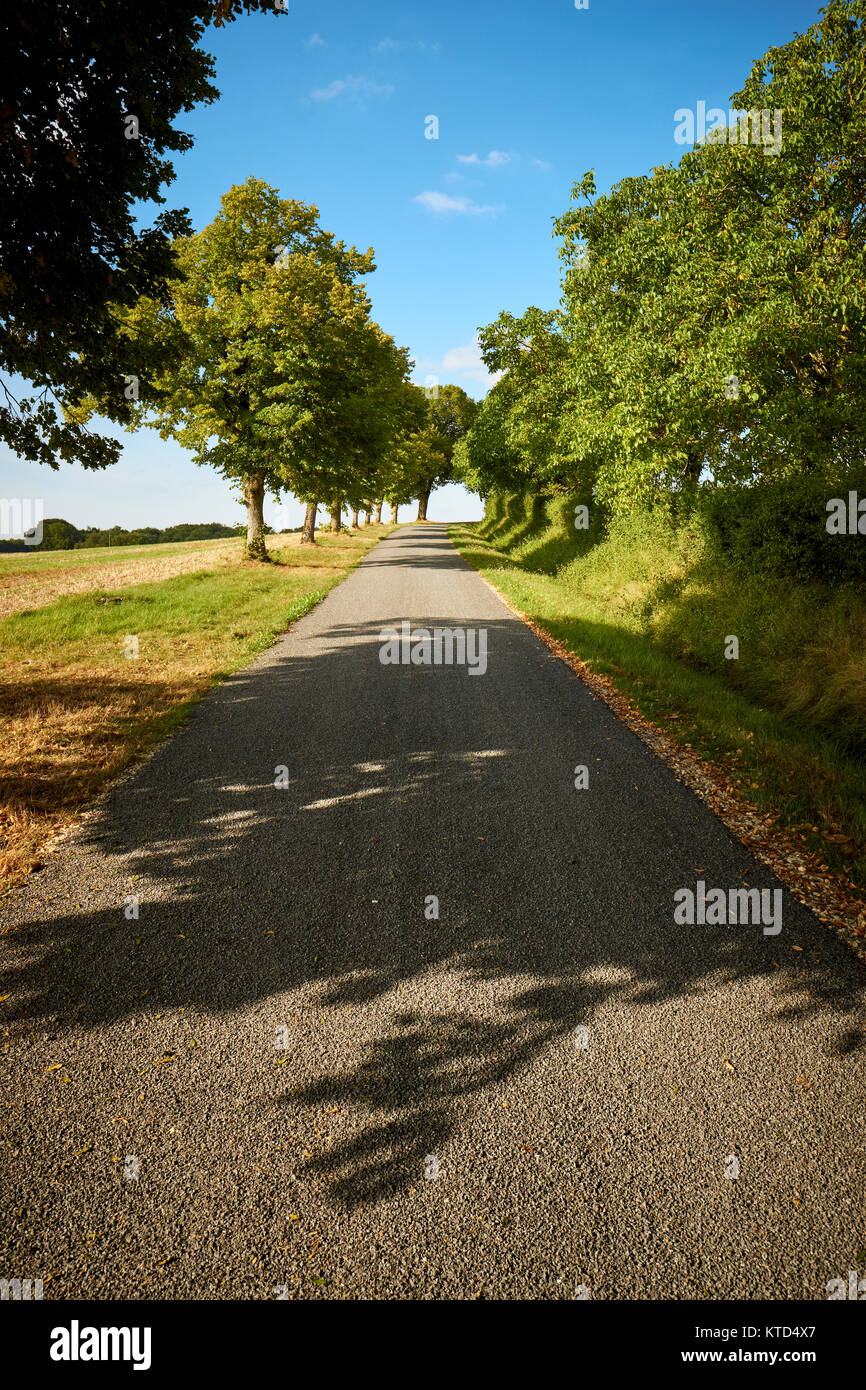 An empty country road Stock Photo - Alamy