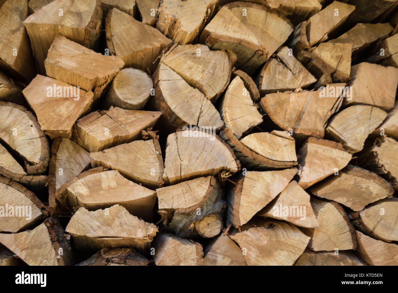 Split oak hi-res stock photography and images - Alamy