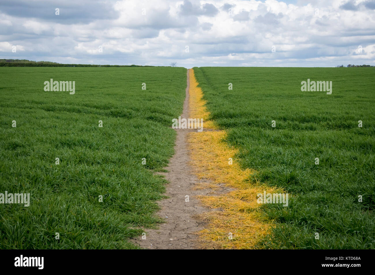 Public footpath crossing green field in the English countryside Stock ...