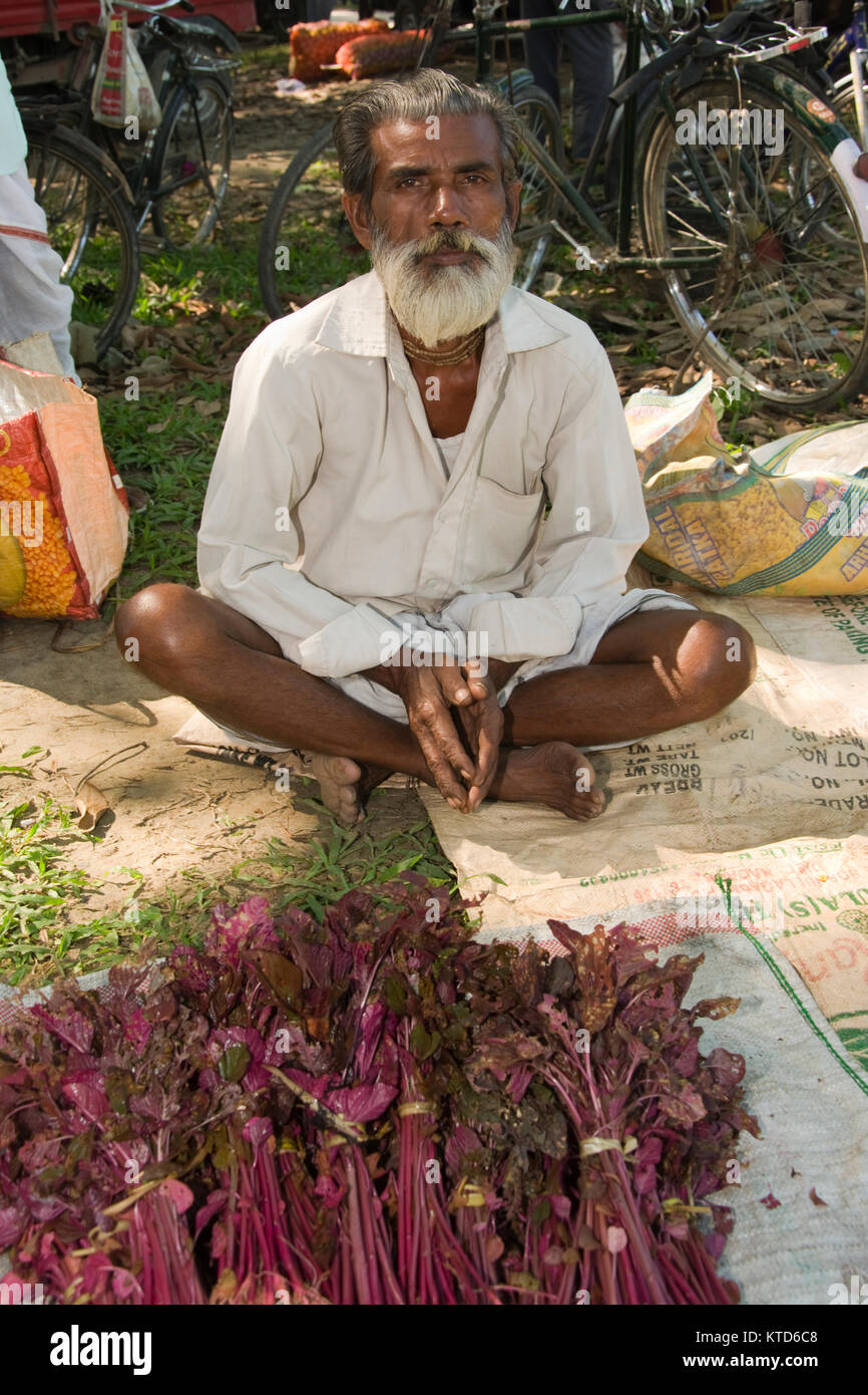 Nagaon district of assam hi-res stock photography and images - Alamy