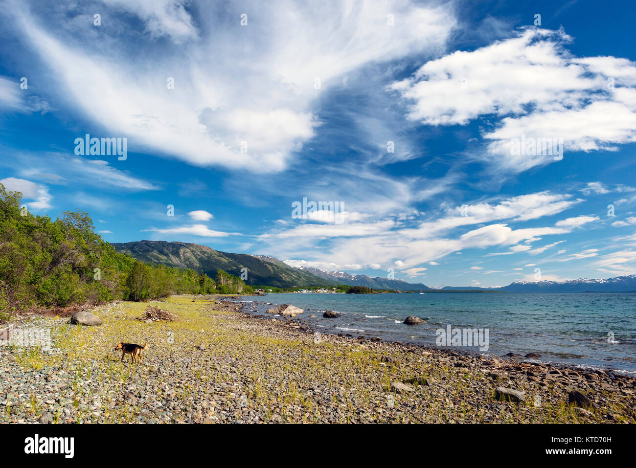 Atlin lake hi-res stock photography and images - Alamy