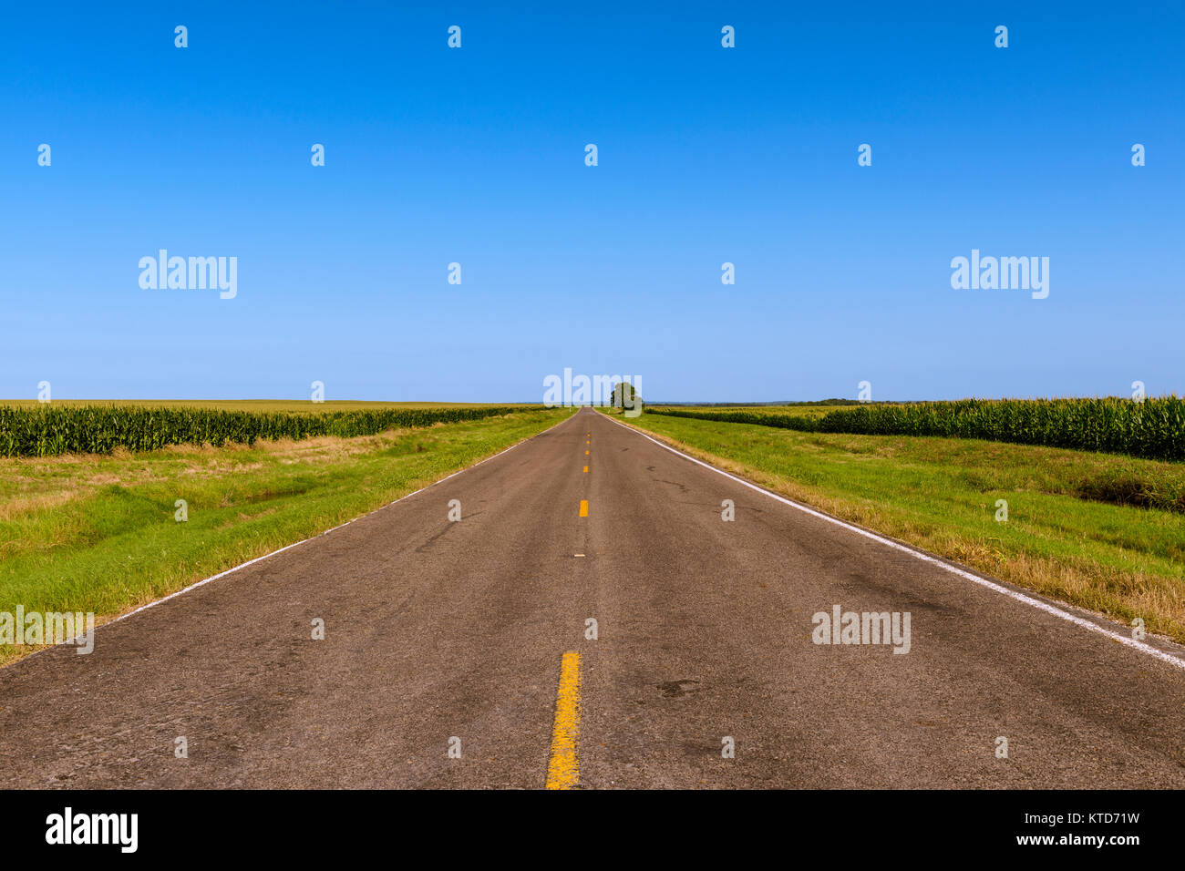 Long empty country road in rural Texas along cornfields; Concept for ...