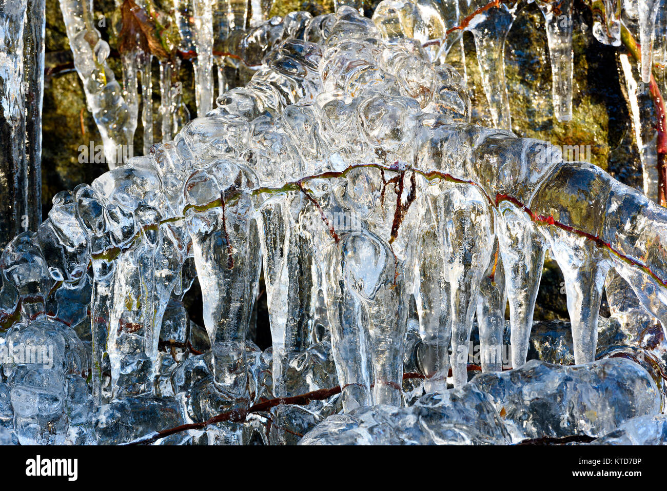 Icicle formations frozen on a stick over running water Stock Photo - Alamy