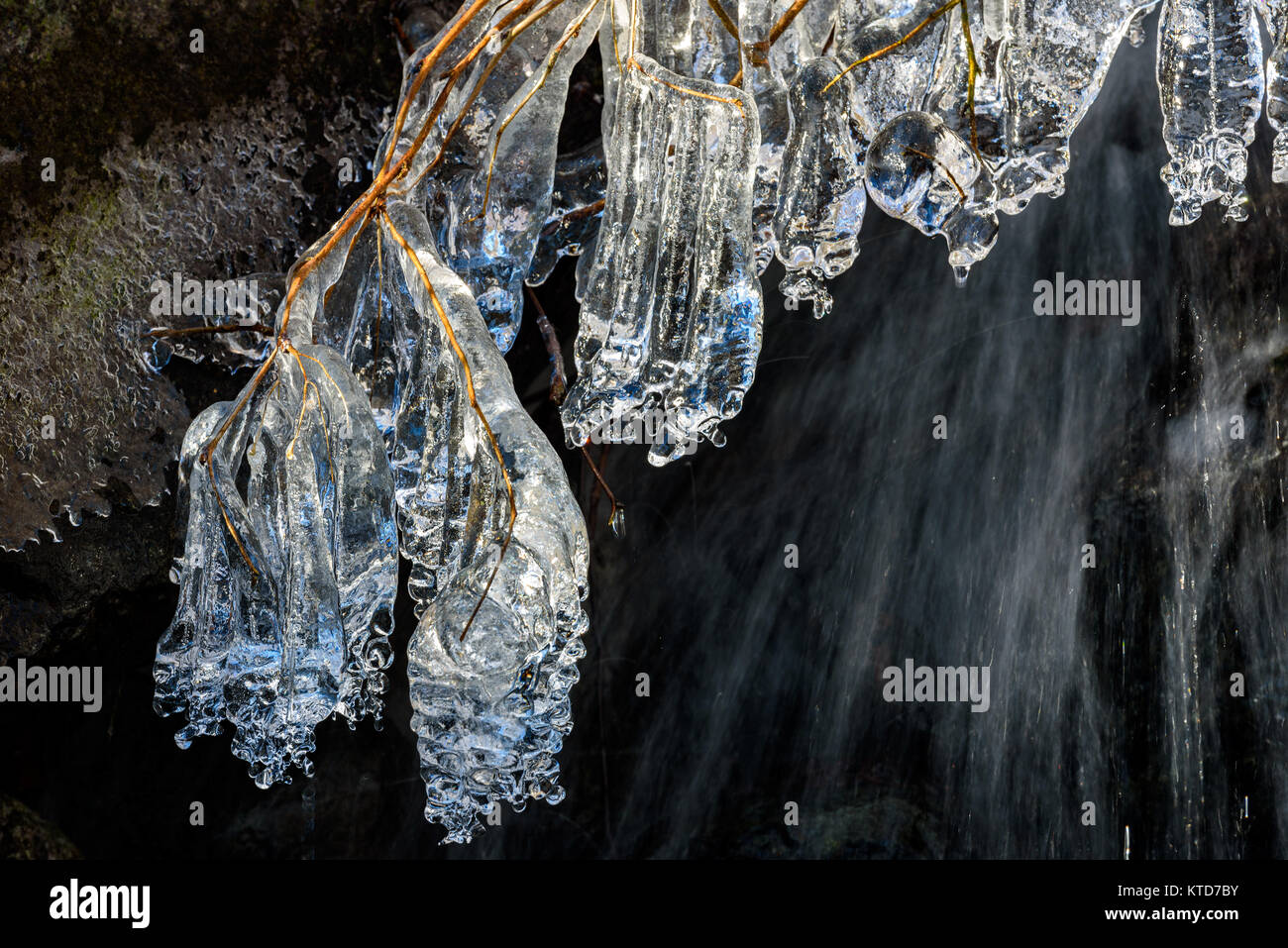 Icicle formations frozen on a stick over running water Stock Photo - Alamy