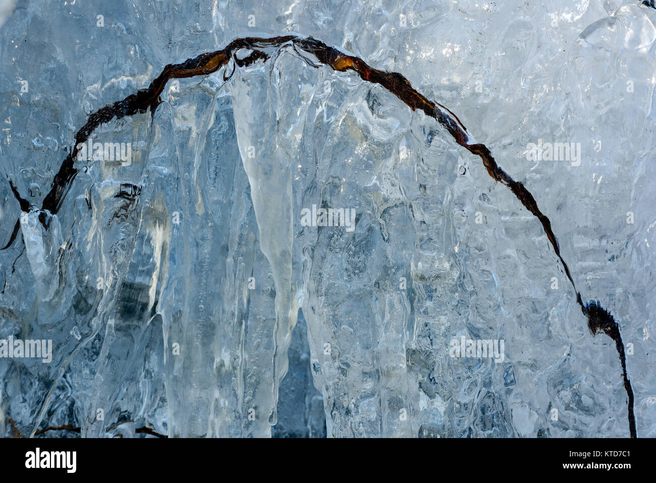 Icicle formations frozen on a stick over running water Stock Photo - Alamy