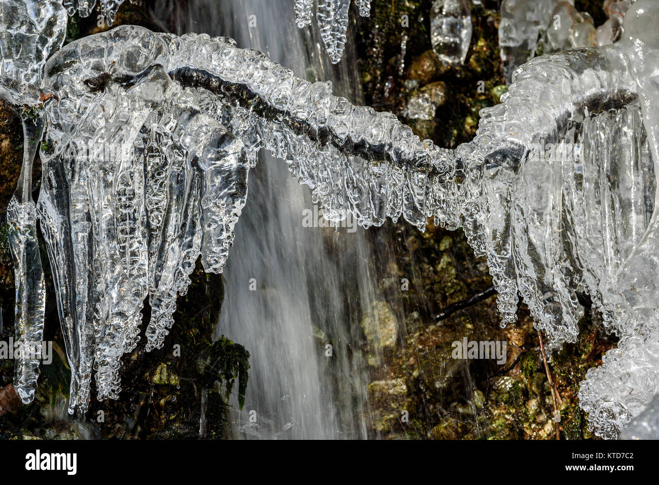 Icicle formations frozen on a stick over running water Stock Photo - Alamy