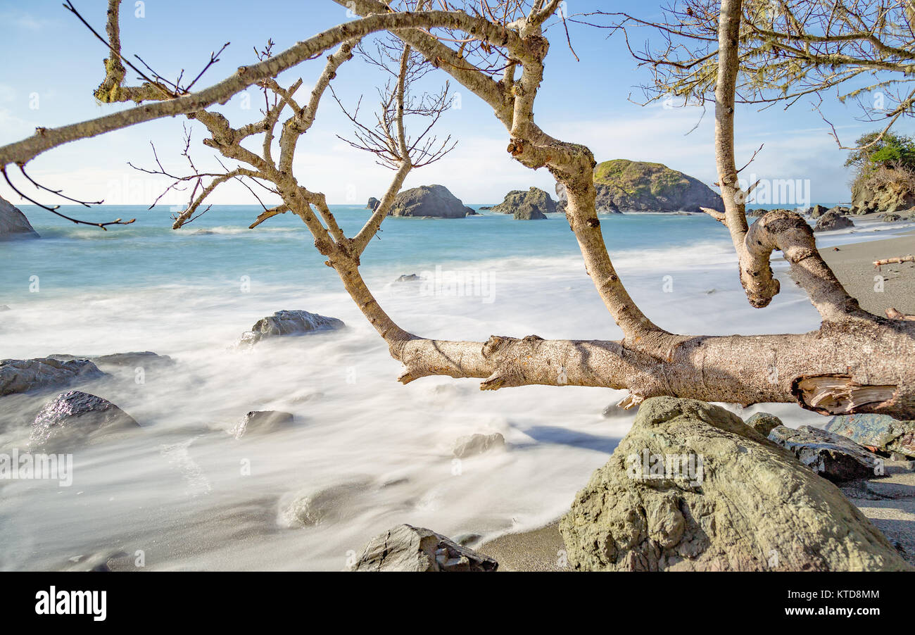 Rocky Beach Landscape, Color Image, Pacific Northwest Stock Photo - Alamy