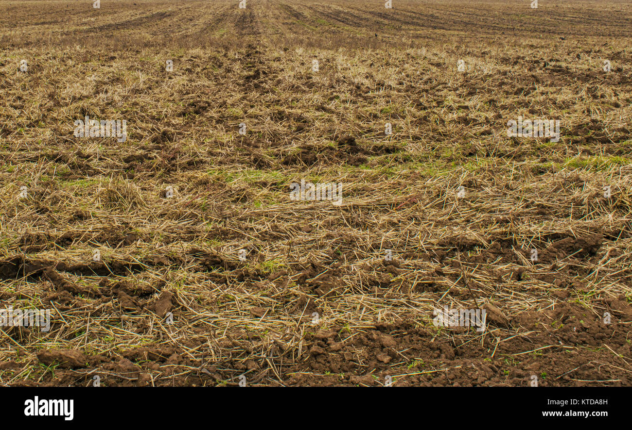 Plowed field. Soil prepared for sowing seeds and planting. Autumn field ...