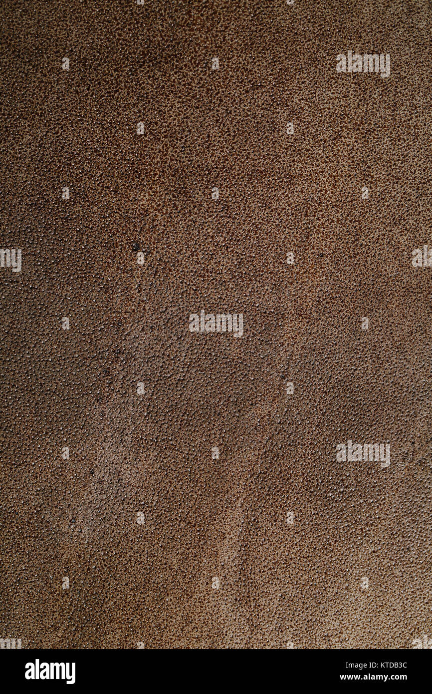Dark brown leather texture Stock Photo - Alamy