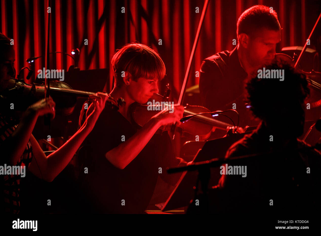 A violinist from the Gothenburg String Theory performs a live concert ...