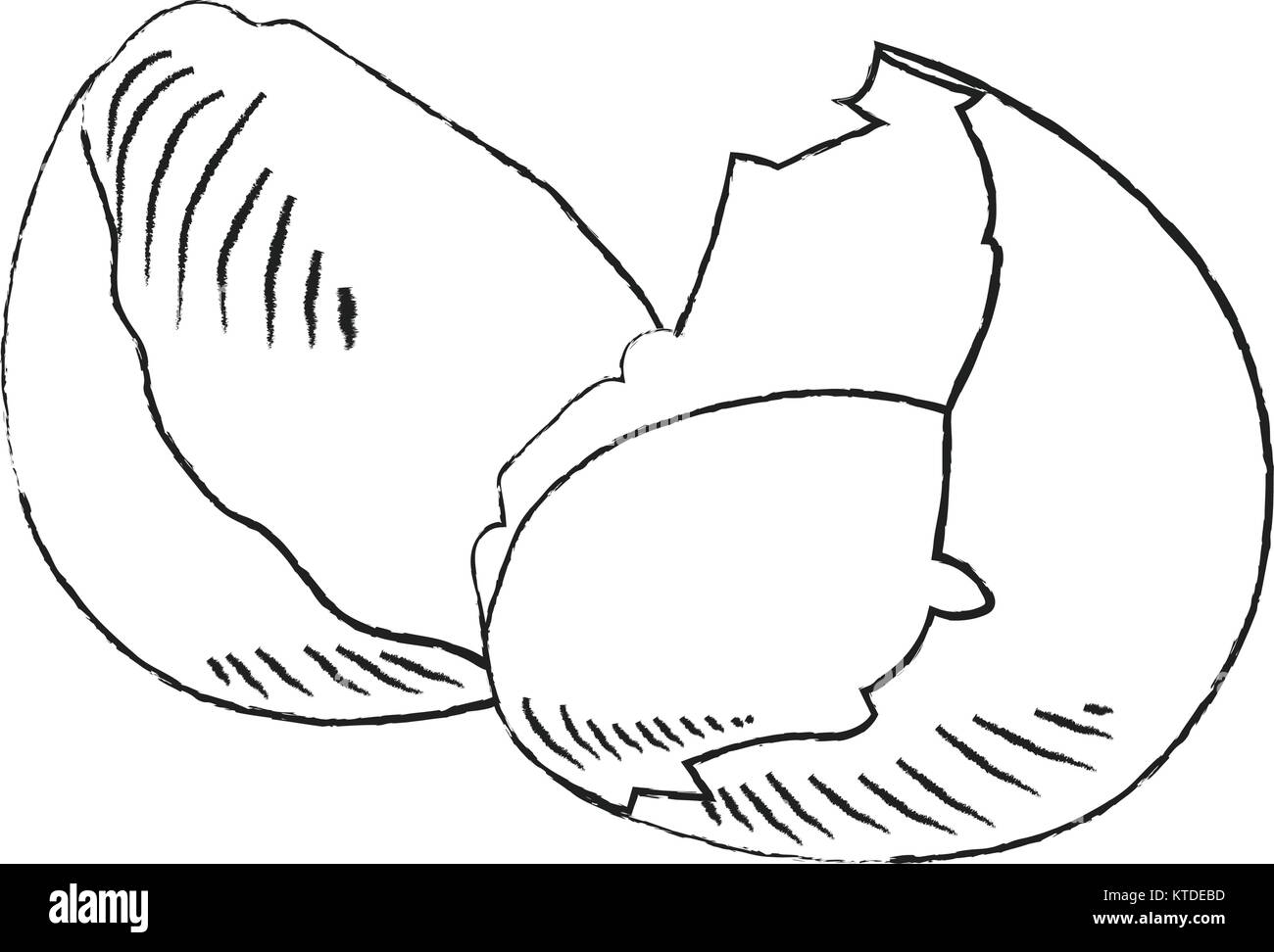 Egg vector icon isolated sketch pictogram broken egg and shells sketch ...