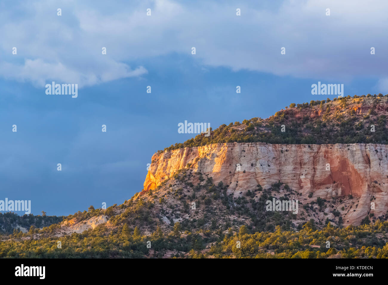 in Coral Pink Sand Dunes State Park, Utah, USA Stock Photo - Alamy