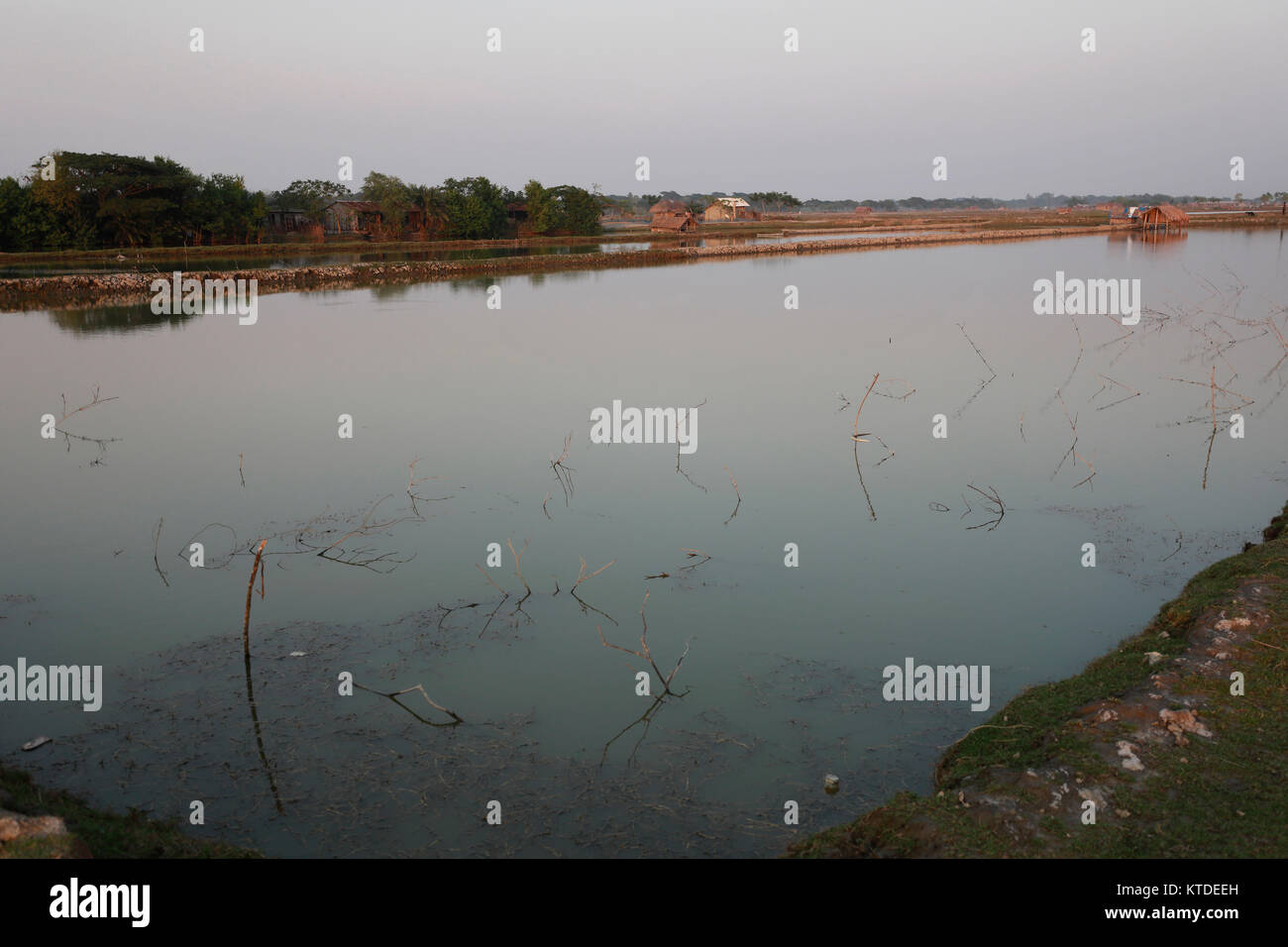 Fish farming dhaka bangladesh hi-res stock photography and images - Alamy