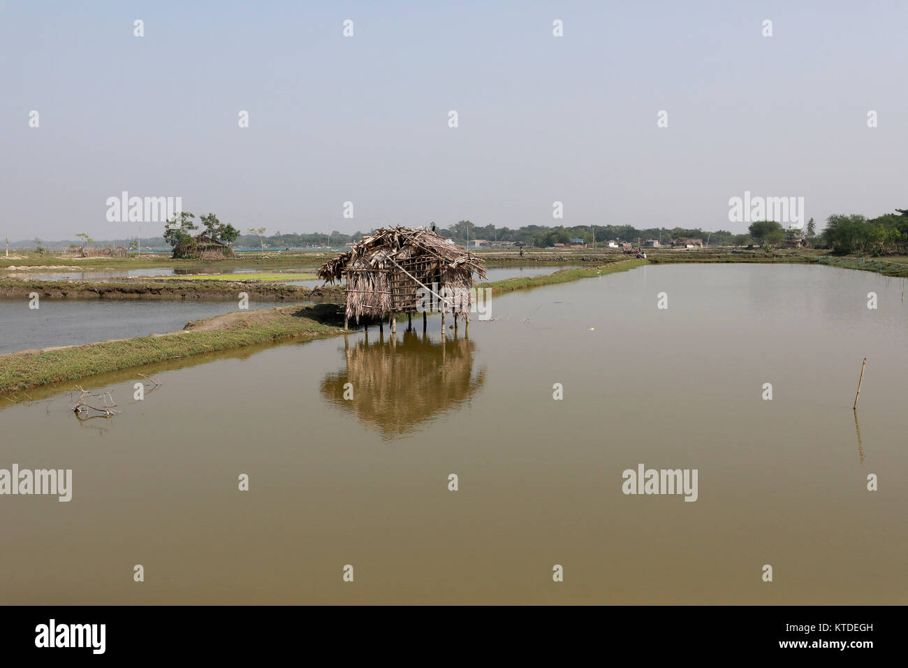 Fish farming in bangladesh hi-res stock photography and images - Alamy
