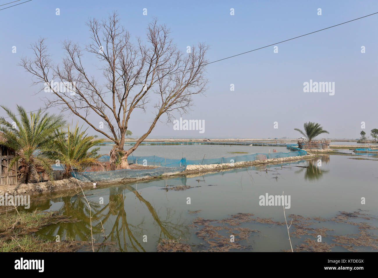 Fish farming in bangladesh hi-res stock photography and images - Alamy