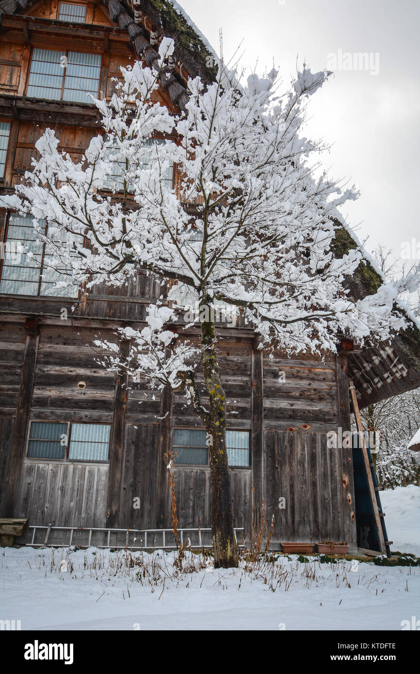 Scenery of Shirakawa-go Historic Village at winter in Gifu, Japan Stock ...
