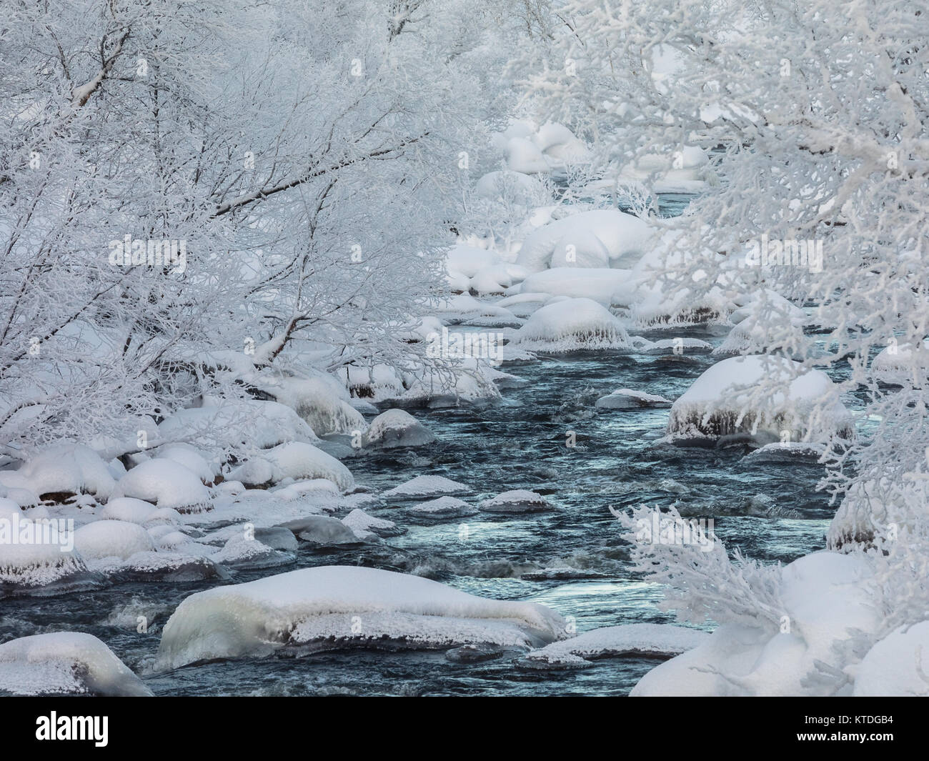 A streaming winter creek, snow and ice, river surrounded with snow ...