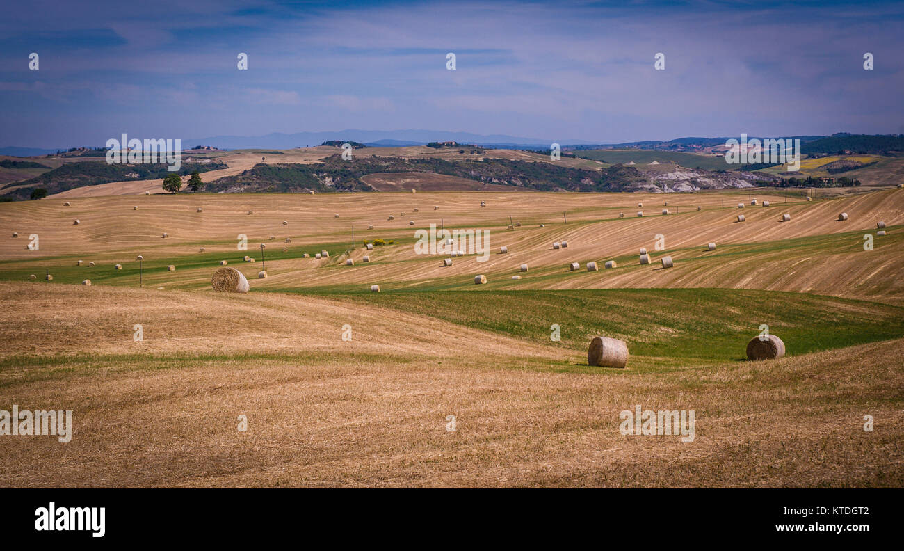 TUSCANY-JUNE 2: Hay bales and rolling hills in Orcia valley,Tuscany ...
