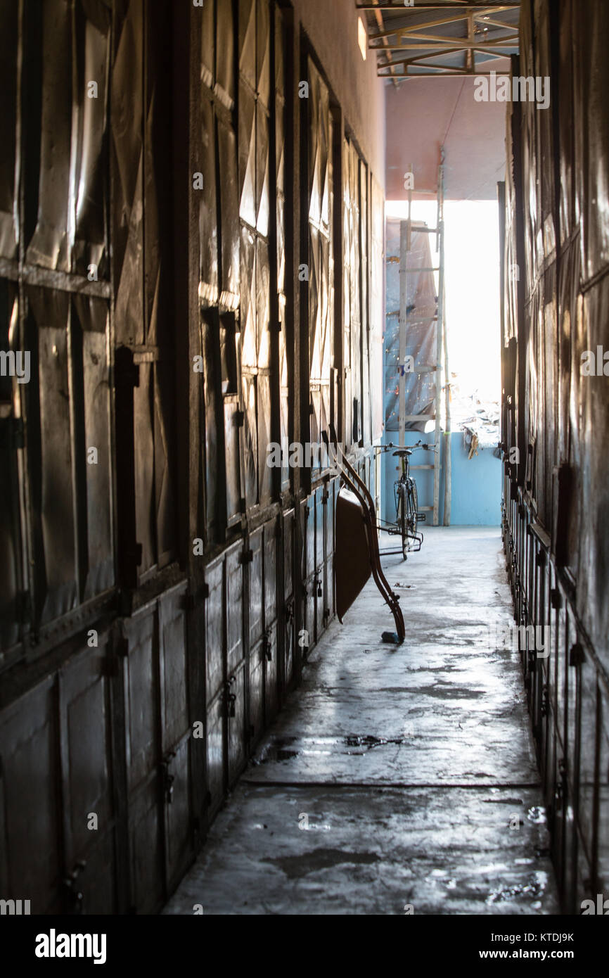 Camel market merchants camels hi-res stock photography and images - Alamy