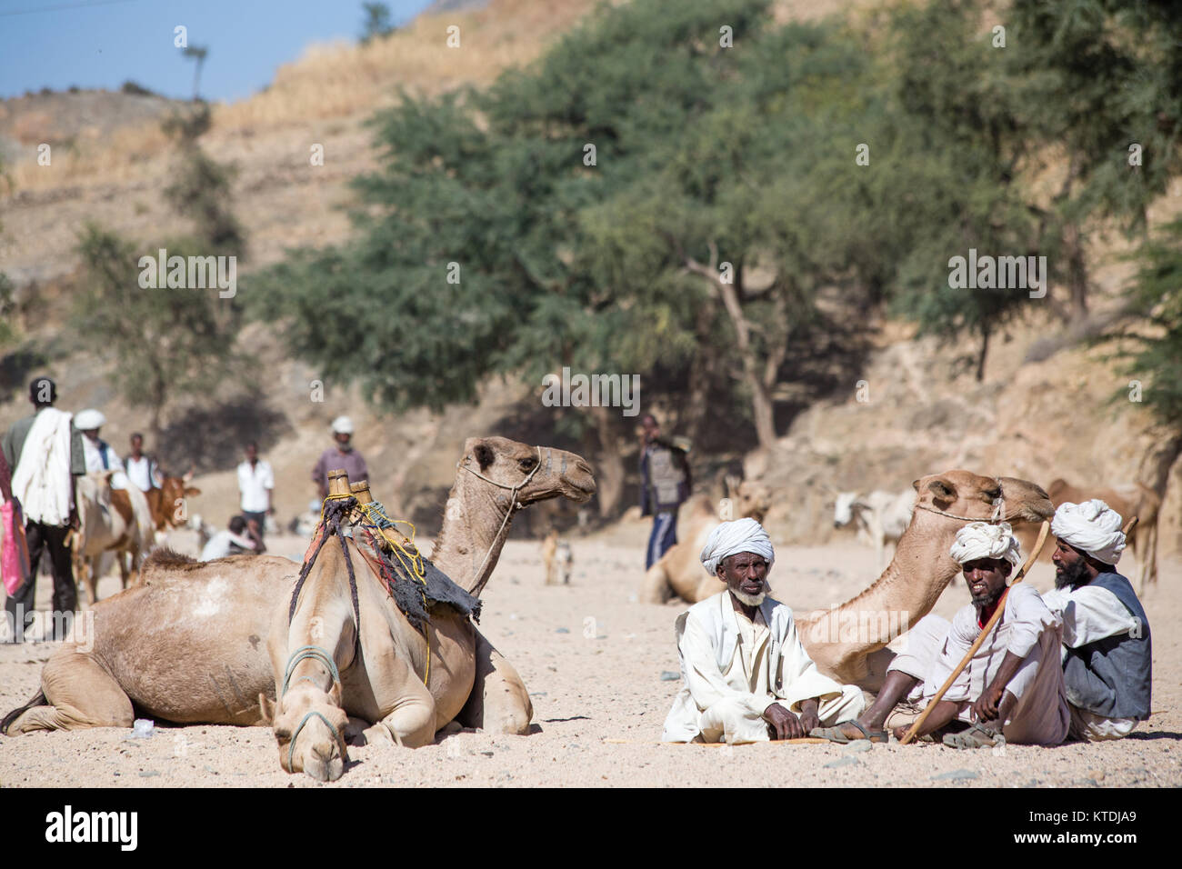 Anseba region hi-res stock photography and images - Alamy