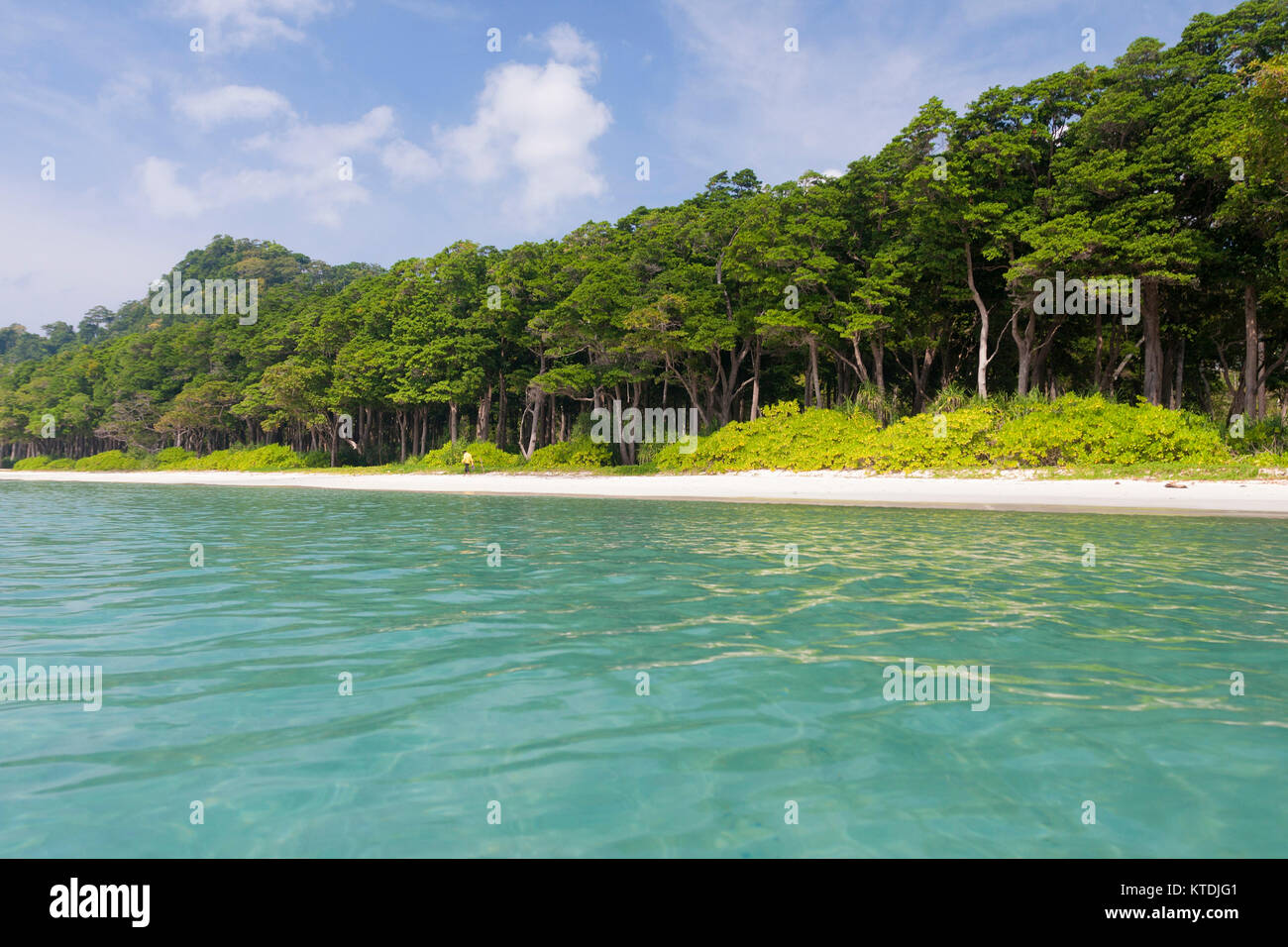 Beach number 7 on Havelock, Andaman islands Stock Photo - Alamy