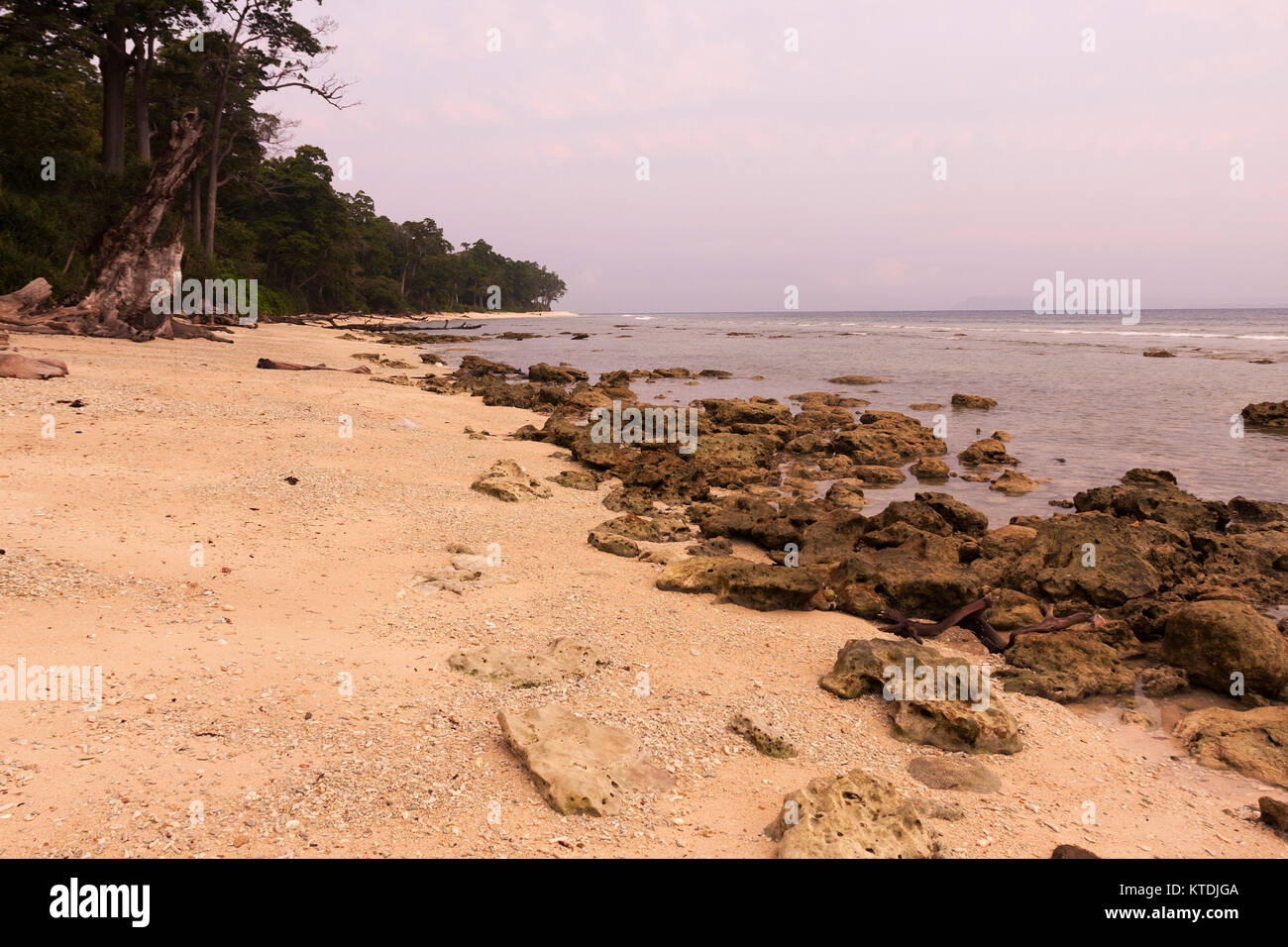 Andamans islands hi-res stock photography and images - Alamy