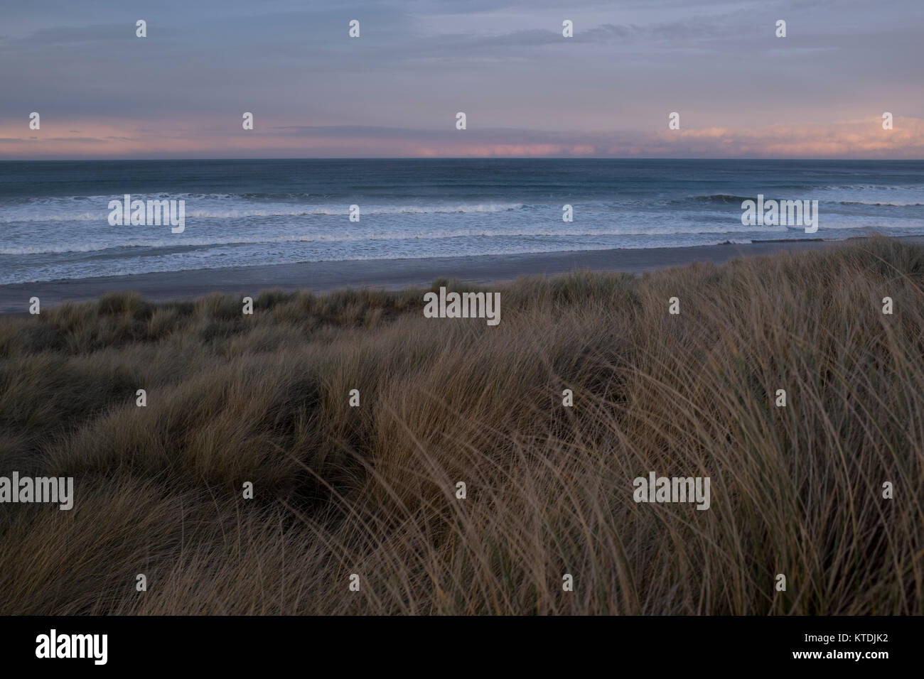 Grass covered sand dunes at the beach of Castlerock in Northern Ireland ...