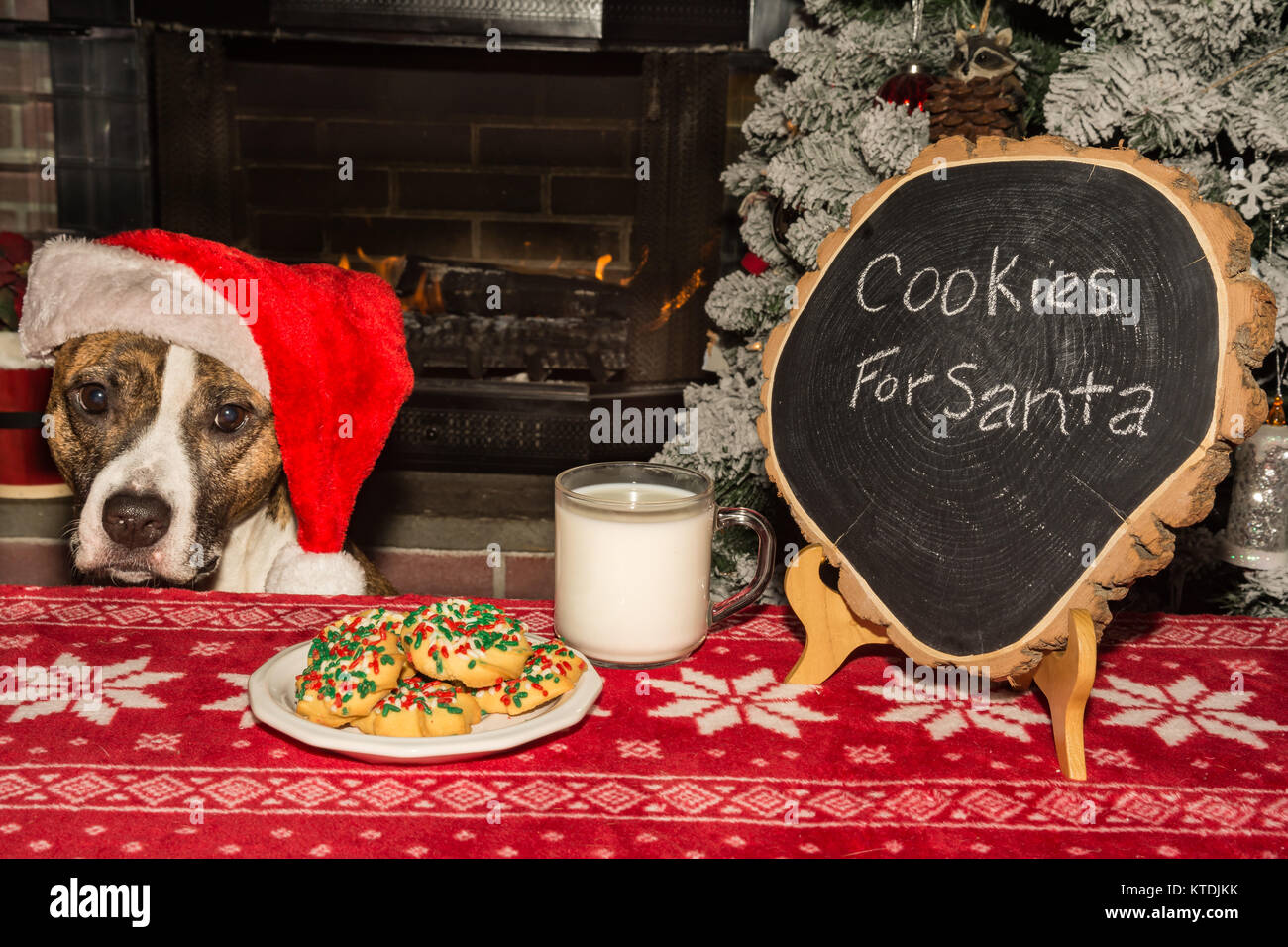 Father christmas fireplace hi-res stock photography and images - Alamy