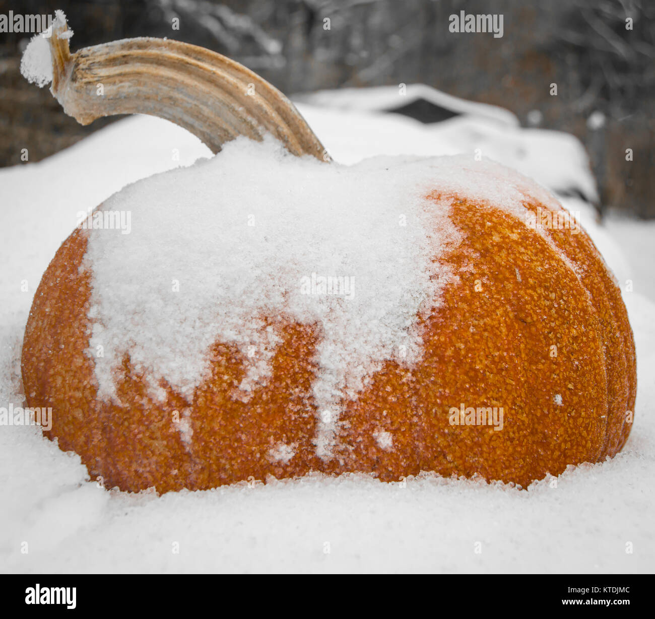 Rests of snow hi-res stock photography and images - Alamy