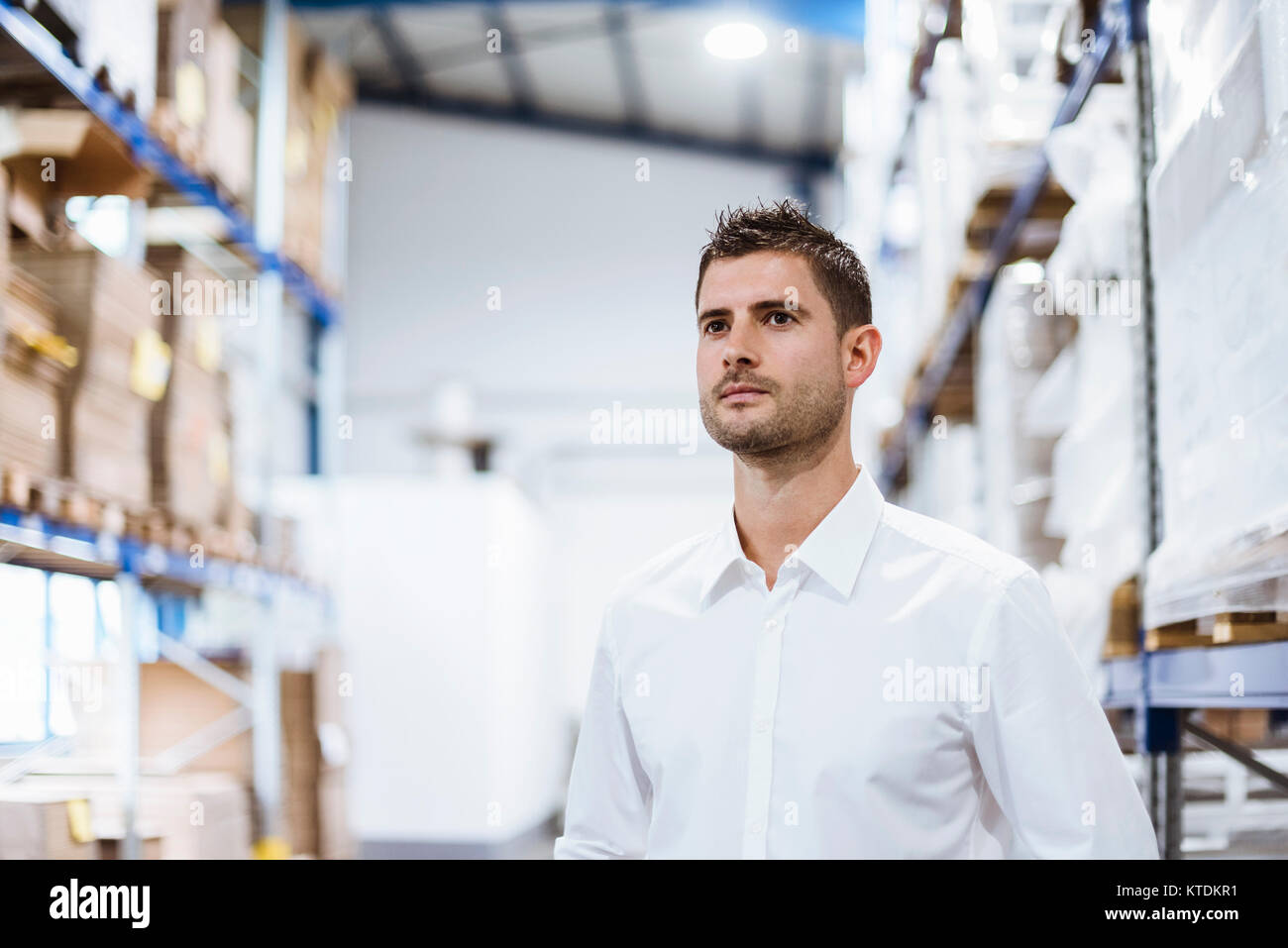 Businessman standing in warehouse, portrait Stock Photo - Alamy